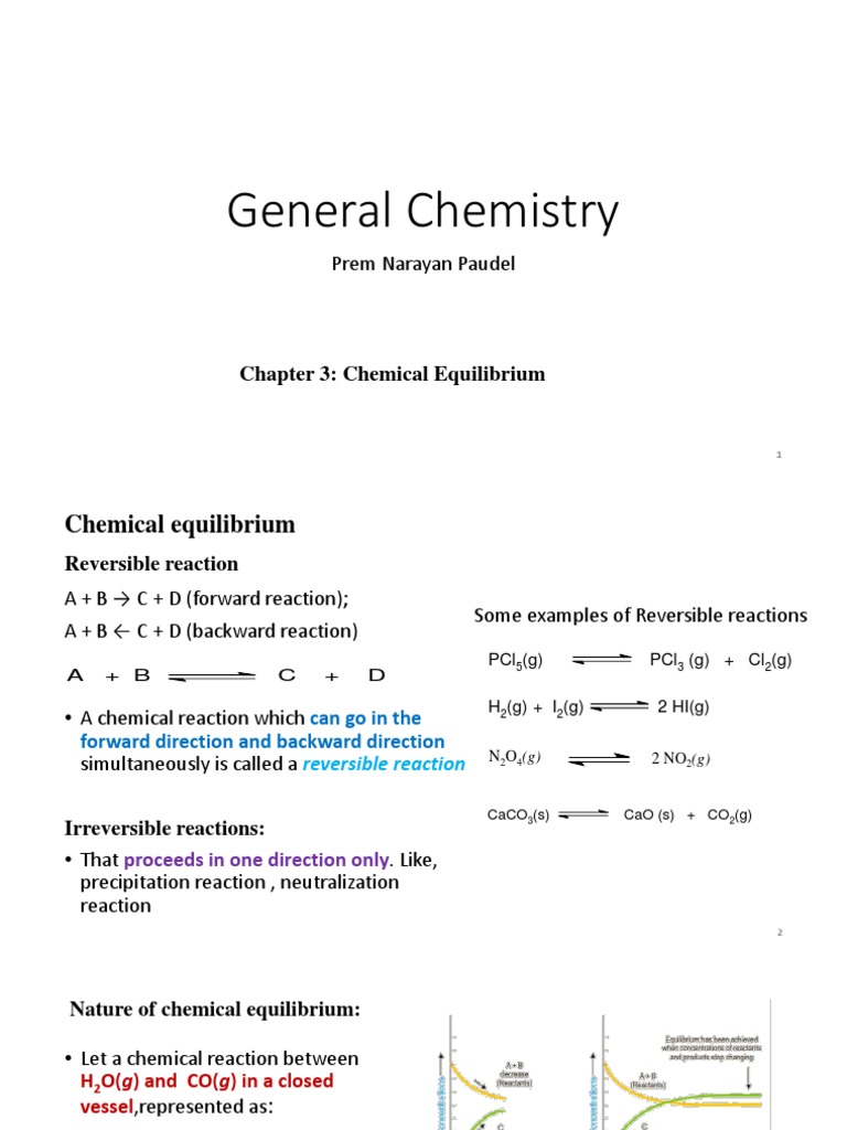 Understanding Chemical Equilibrium Concepts | PDF | Reaction Rate ...