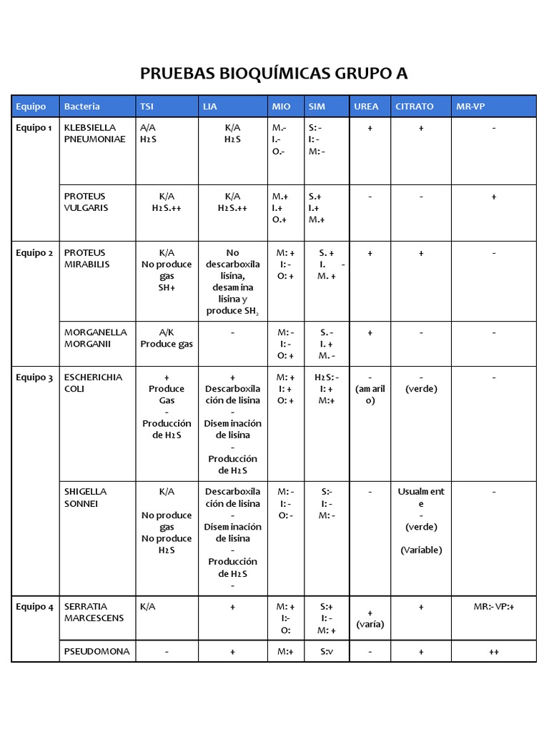 Pruebas Bioquimicas | PDF | Microbiología | Las bacterias