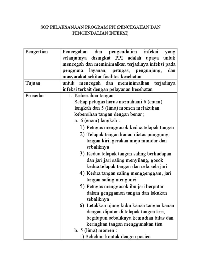 Sop Pelaksanaan Program Ppi | PDF
