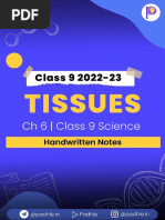 Cbse Class Ix Animal Tissue Flow Chart | PDF | Epithelium | Tissue ...