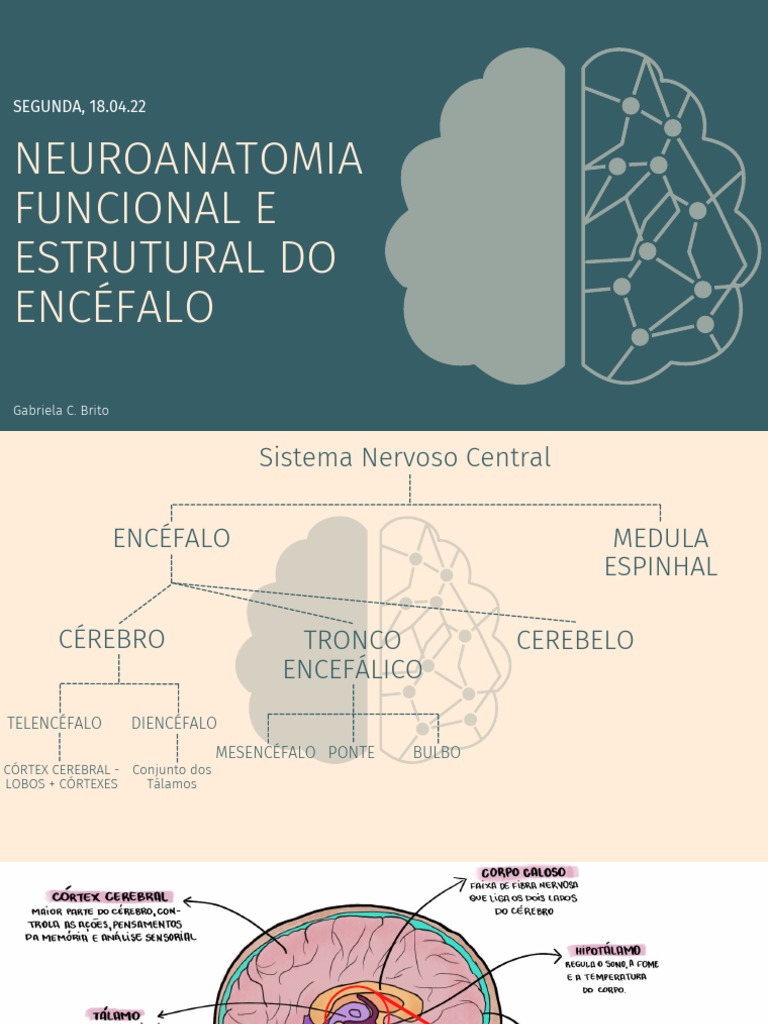 Neuroanatomia do Córtex e Estruturas Cerebrais | PDF | Cérebro ...