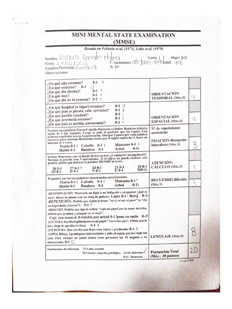 Mini Mental State Examination | PDF