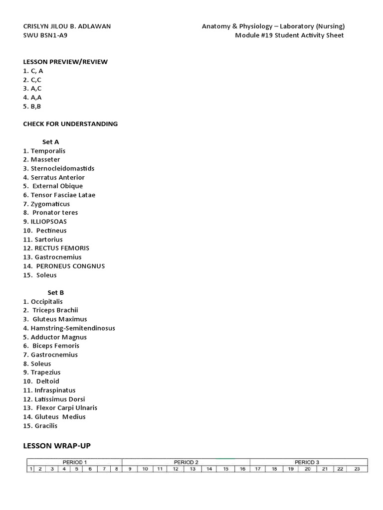 Hes 029 Lab Sas 19 | PDF