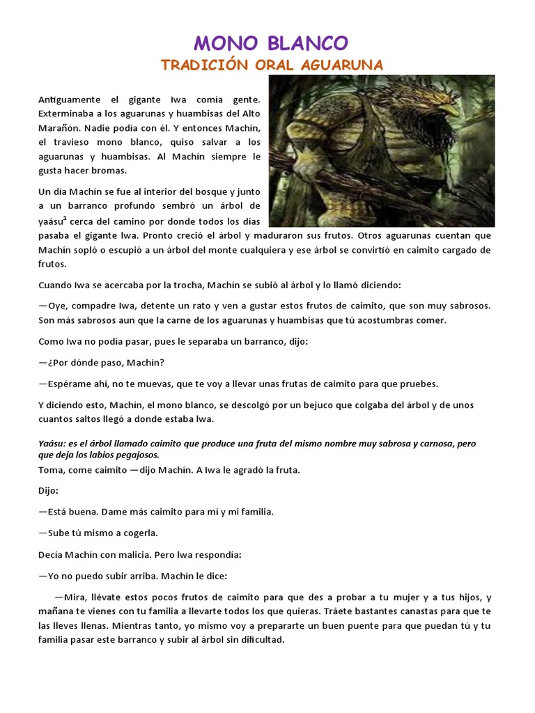 Lectura 17 Mono Blanco Pdf
