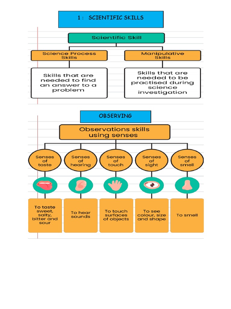 Year 3 Science Notes - Chapter 1-3new | PDF