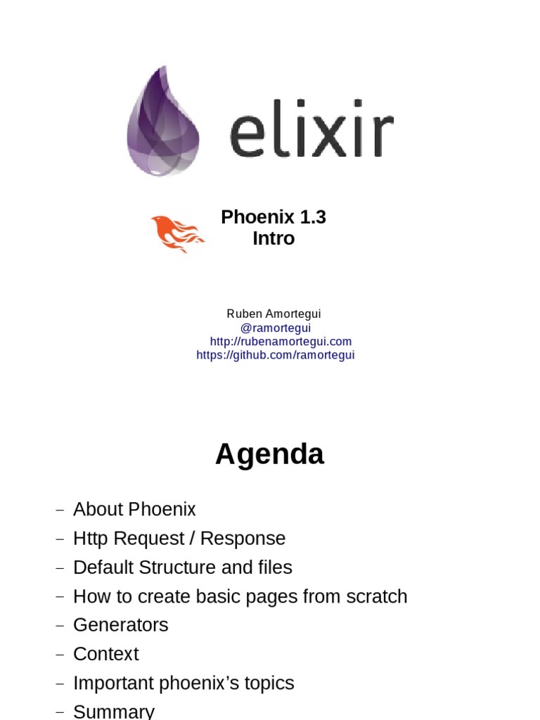 Phoenix Basics | PDF