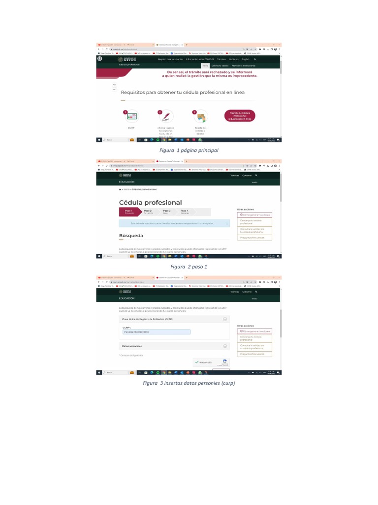 Tutorial Berta | PDF