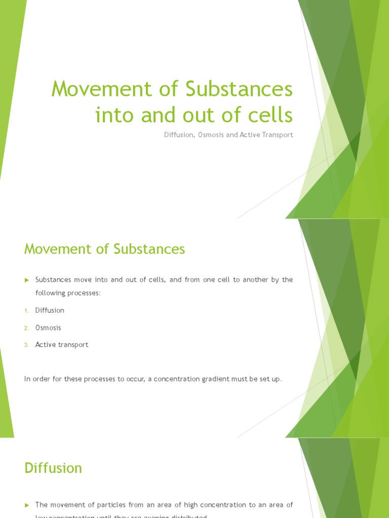 Cell Transport: Diffusion, Osmosis, Active Transport | PDF | Osmosis ...