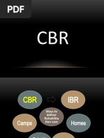 1.3 - CBR Program Aims, Objectives, Principles, Organisational Structure and Personnel | PDF ...