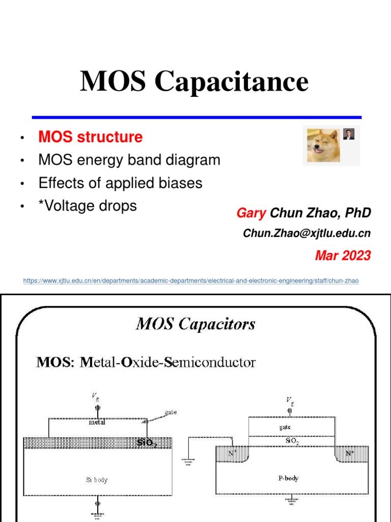 6 MOSc 1 Lecture Gary | PDF