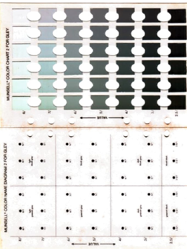 Carta de Munsell - Munsell Color Chart | PDF | Hue | Lighting
