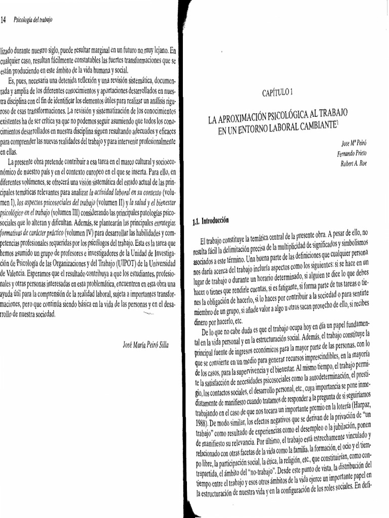 Psicología Social Del Trabajo | PDF