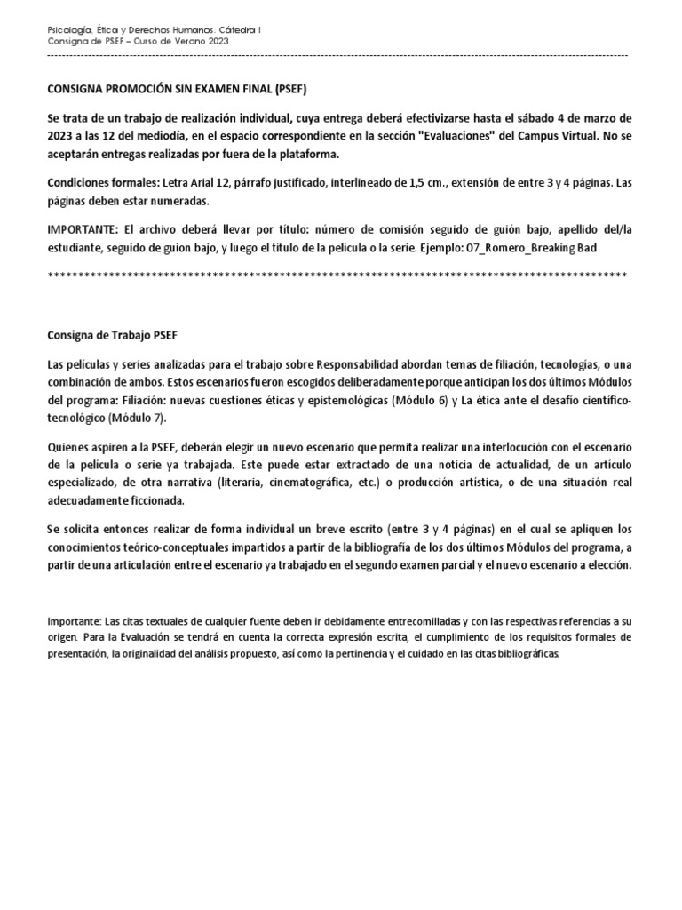 CONSIGNA PSEF Curso de Verano 2023 | PDF