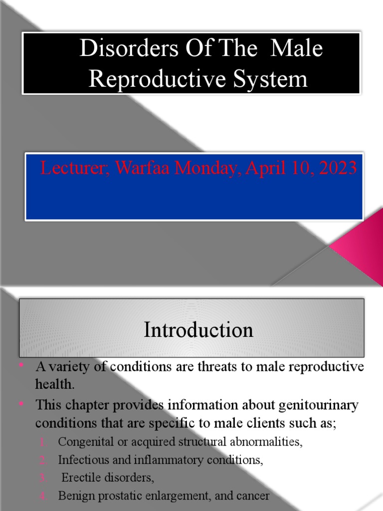 Disorders of The Male Reproductive System | PDF