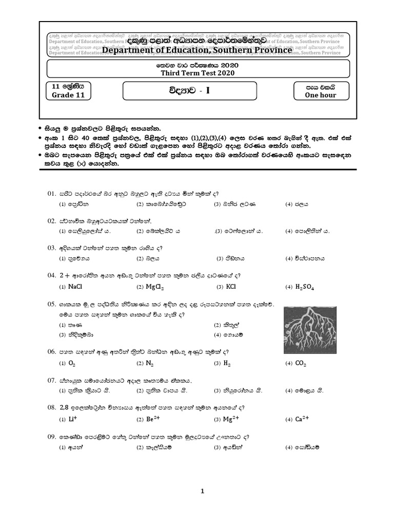 Grade 11 Science Paper 2020 3rd Term Test Southern Province | PDF