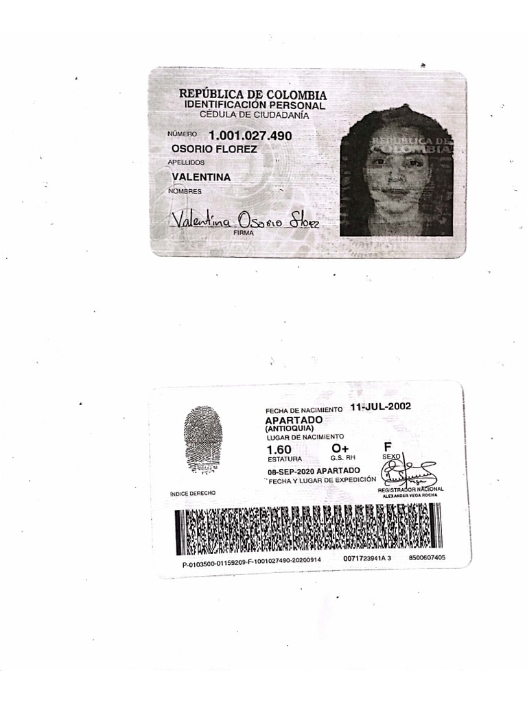 Fotocopia de La CC Al 150% | PDF