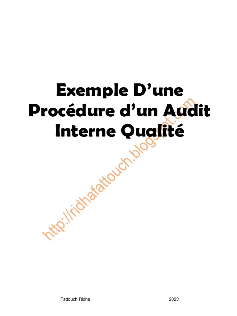 Procédure Audit Interne | PDF