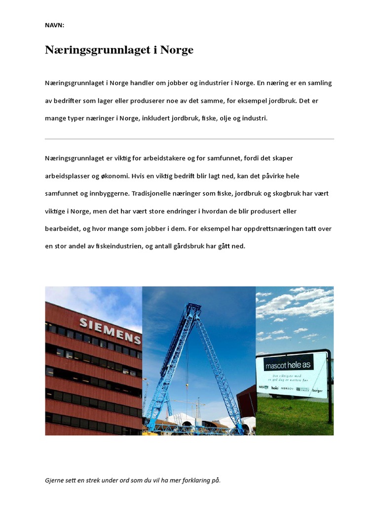 Næringsgrunnlaget I Norge - Tekst Med Oppgaver | PDF