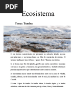 TUNDRA | PDF | Ecología | Biogeografia