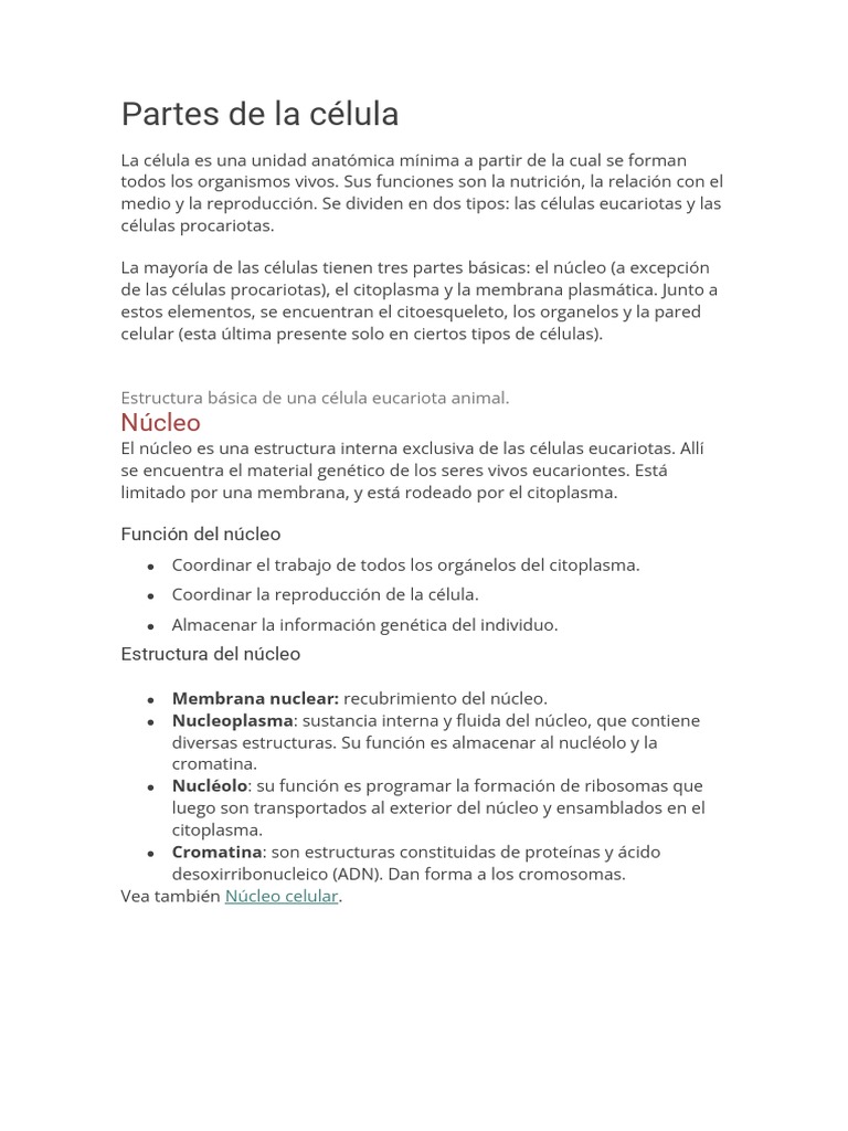 Partes de La Célula | PDF