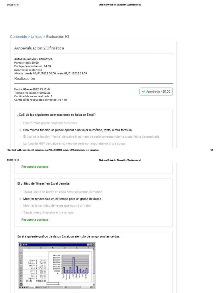 Ofimatica Autoevaluacion 2 | PDF | Microsoft Excel | Hoja de cálculo