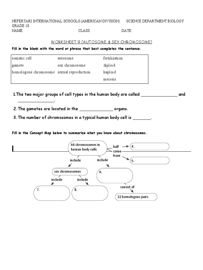 Worksheet_9_(Autosomes_&_sex_chromosome) | PDF | Ploidy | Chromosome