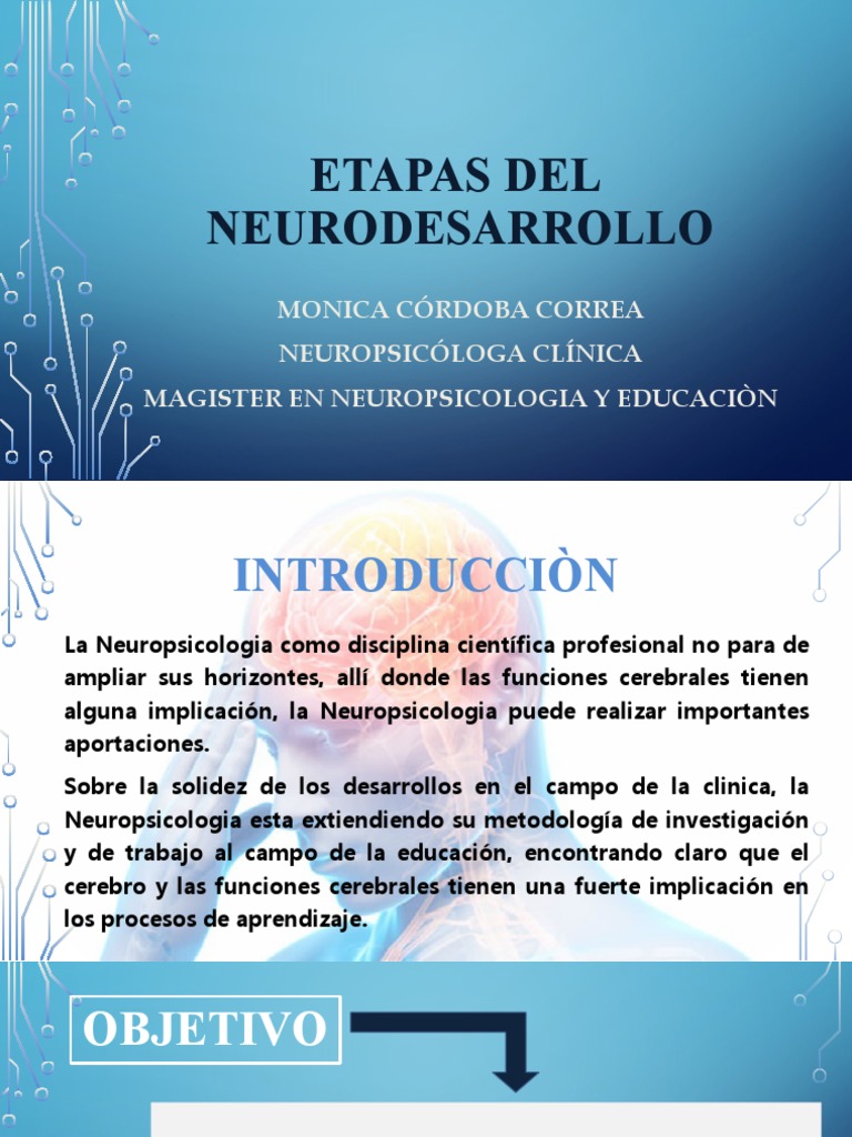 Etapas Del Neurodesarrollo | PDF | Cerebro | Neuropsicología
