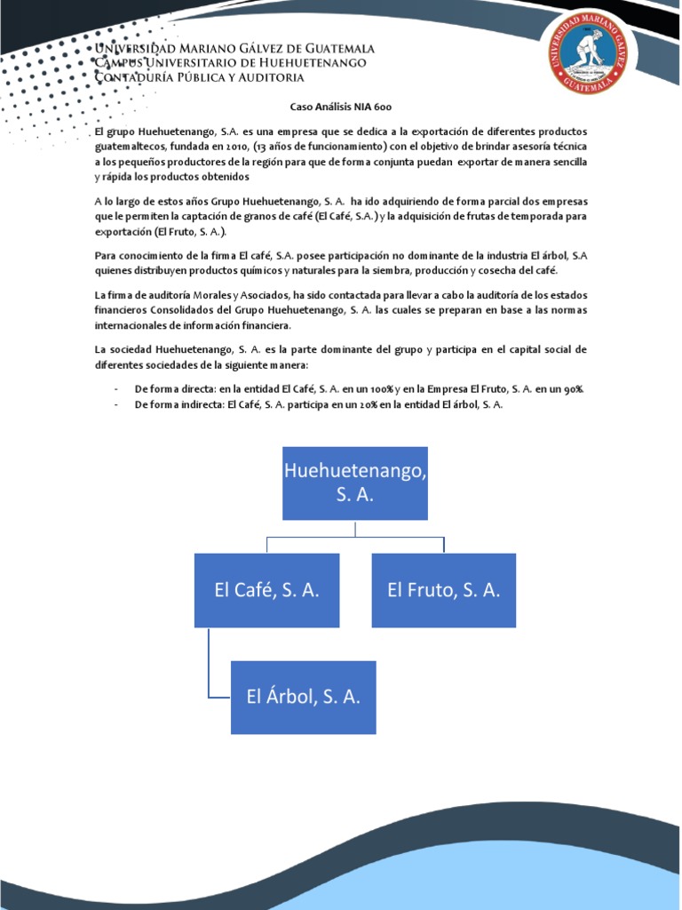 Caso Práctico Nia 600 Final | PDF