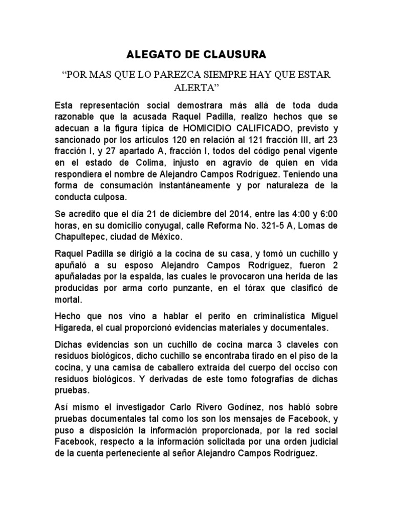 Alegato de Clausura 13 | PDF