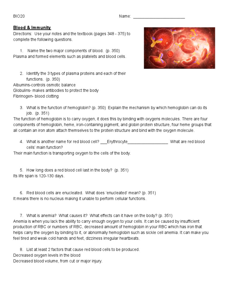 Blood & Immunity Worksheet | PDF | Blood Type | Immune System