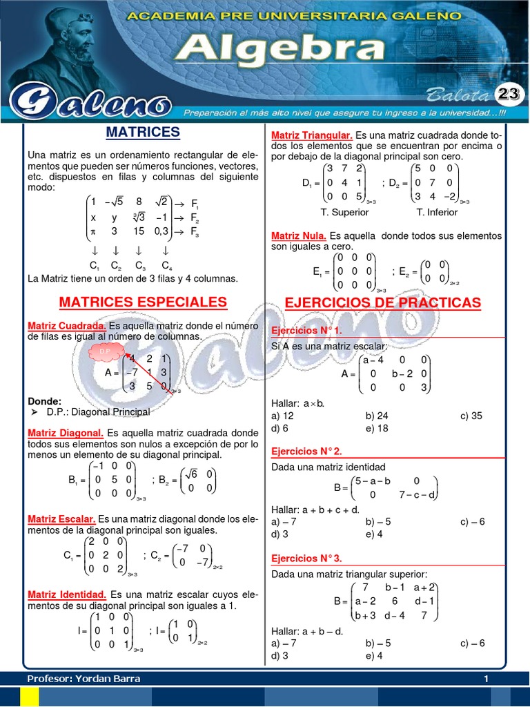 Algebra Academia Matrices | PDF | Matriz (Matemáticas) | Relaciones ...