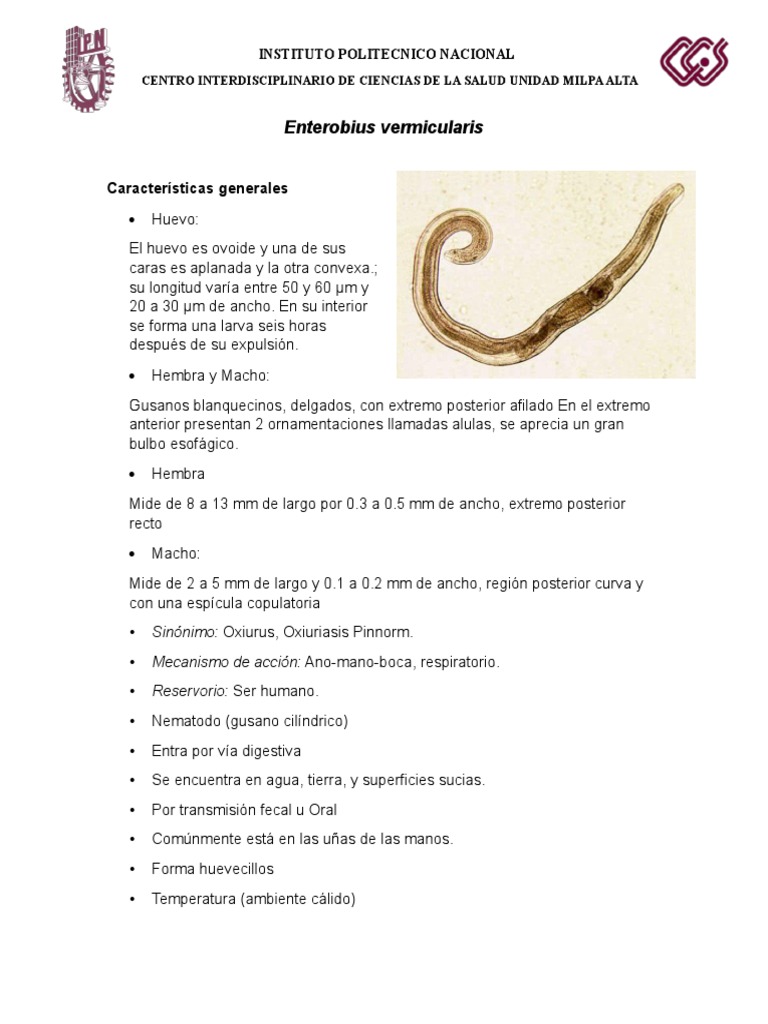 Resumen Enterobius vermicularis | PDF