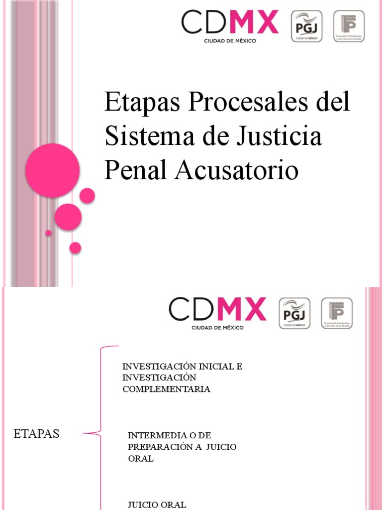 Etapas Procesales | PDF