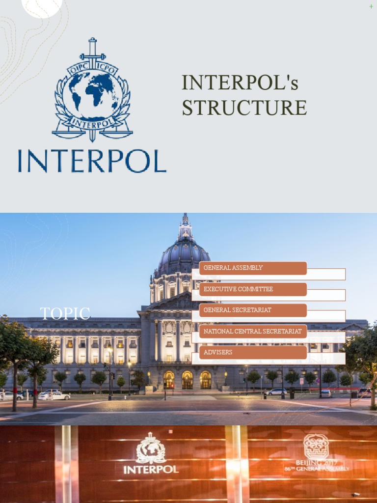 INTERPOL Organizational Structure Overview | PDF | United Nations ...
