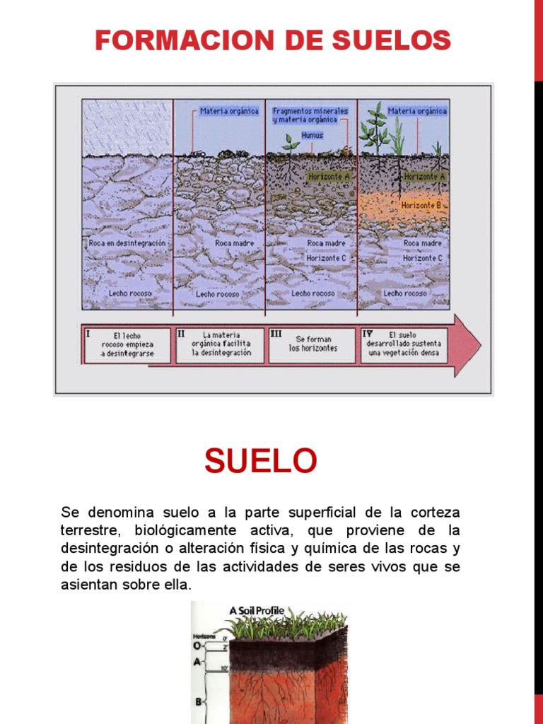 Textura de Suelos | PDF | Suelo | Arcilla