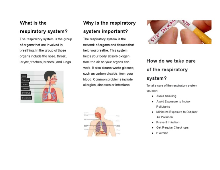 Respiratory Brochure - Google Docs | PDF