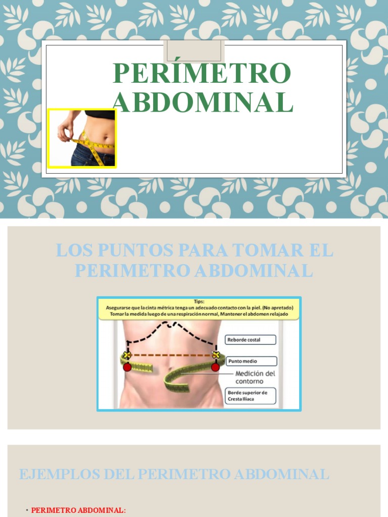 Perímetro Abdominal | PDF