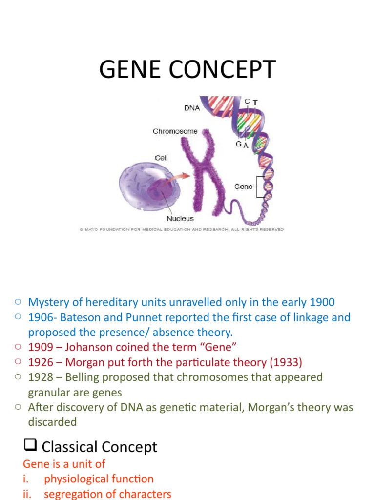 Gene Concept | PDF