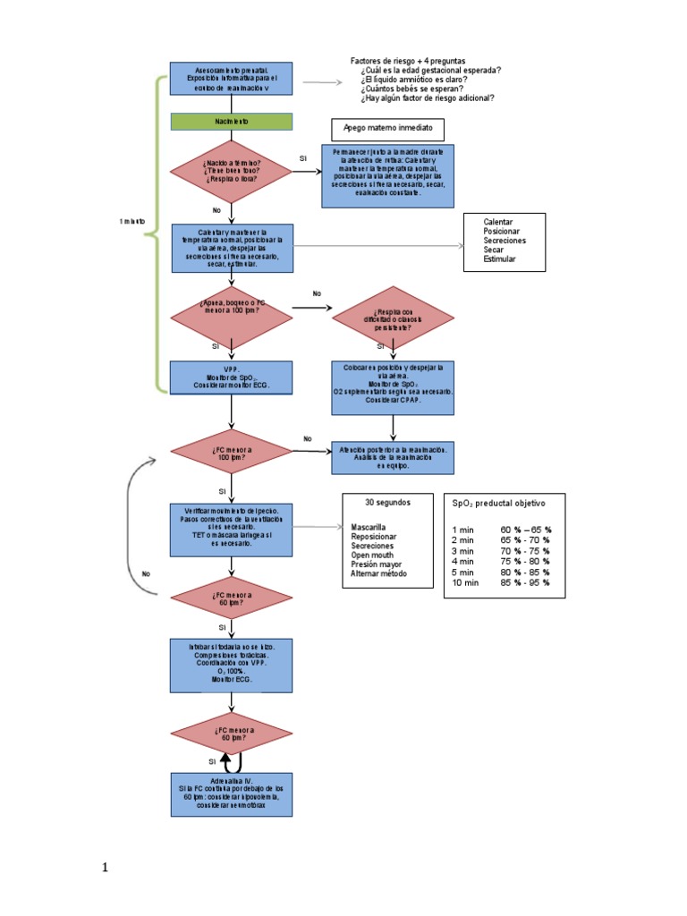 Protocolo de Reanimación Neonatal | PDF