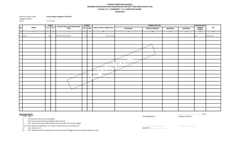 Format Pendataan ODGJ | PDF
