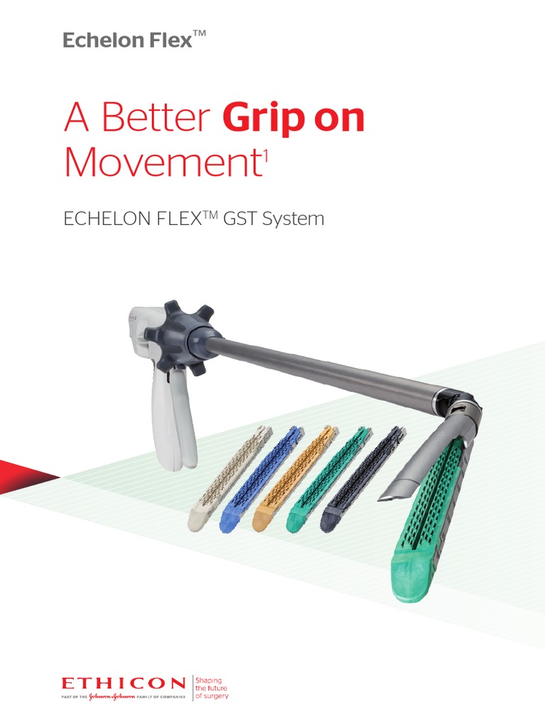 BR0907_Echelon_Flex | PDF