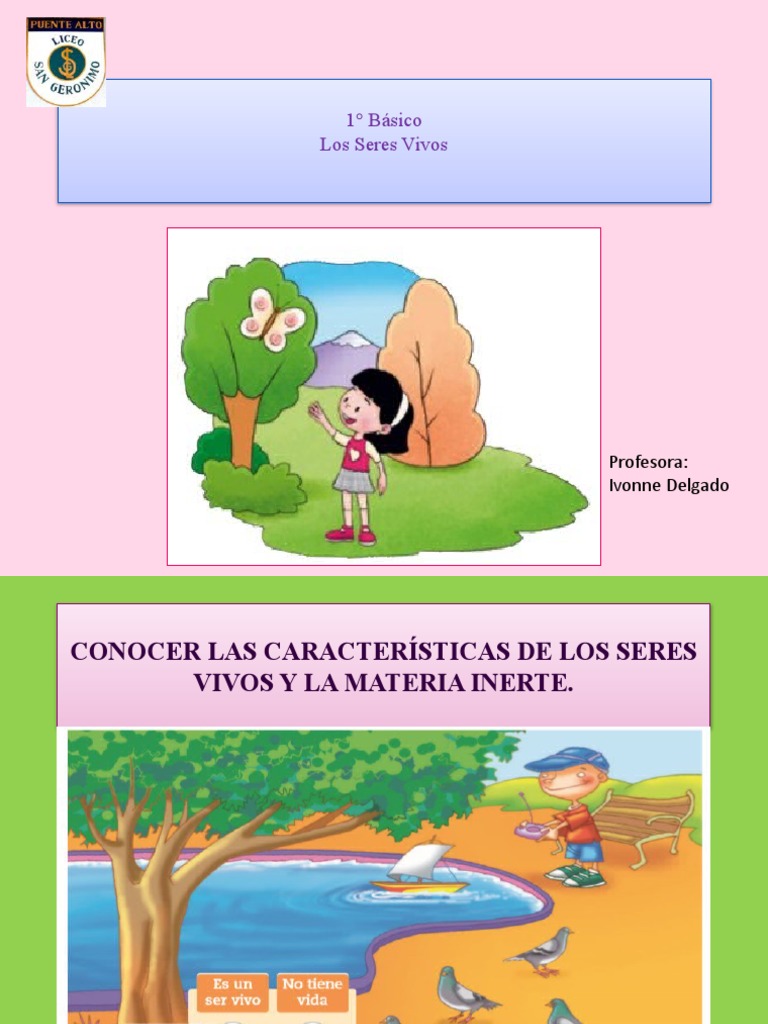 Seres Vivos24-06 | PDF