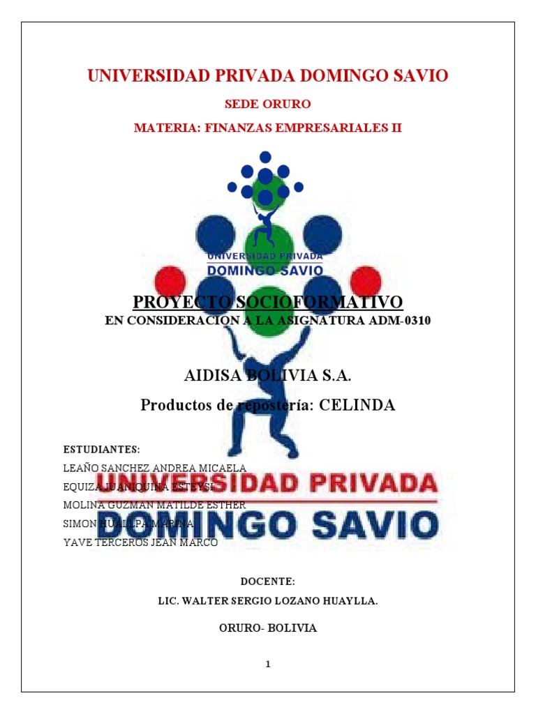 Celinda Final | PDF | Producto (Negocio) | Bolivia