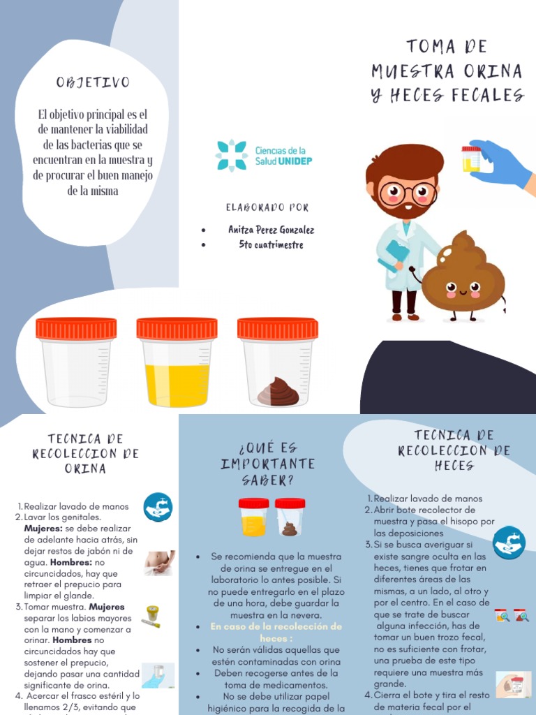 Triptico Toma de Muestra Orina y Heces A Paciente | PDF