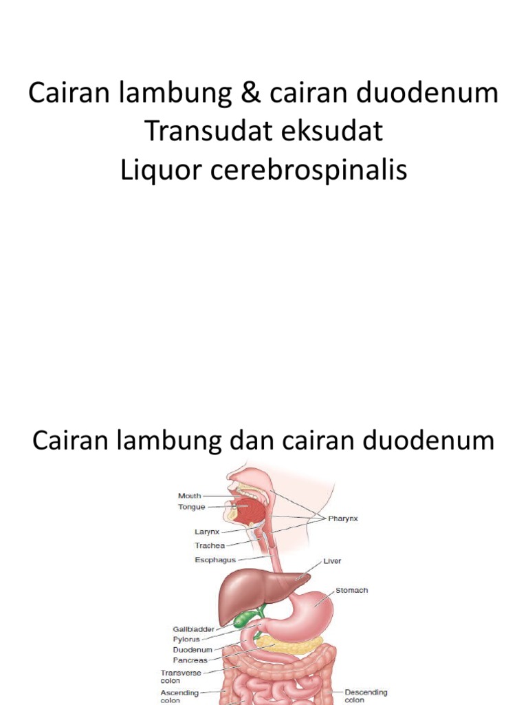 Cairan Lambung Cairan Duodenum | PDF