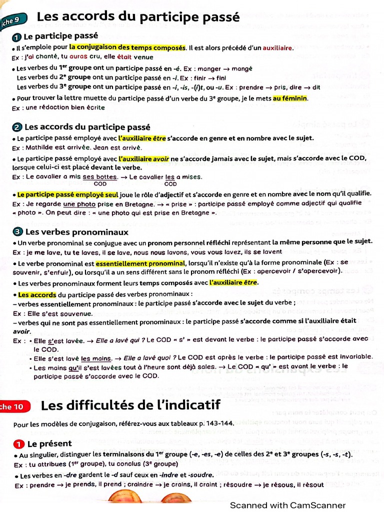 Accord Du Participe Passé-Exercices | PDF