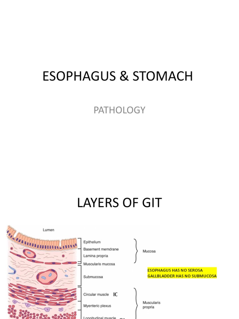 GIT Pathology | PDF