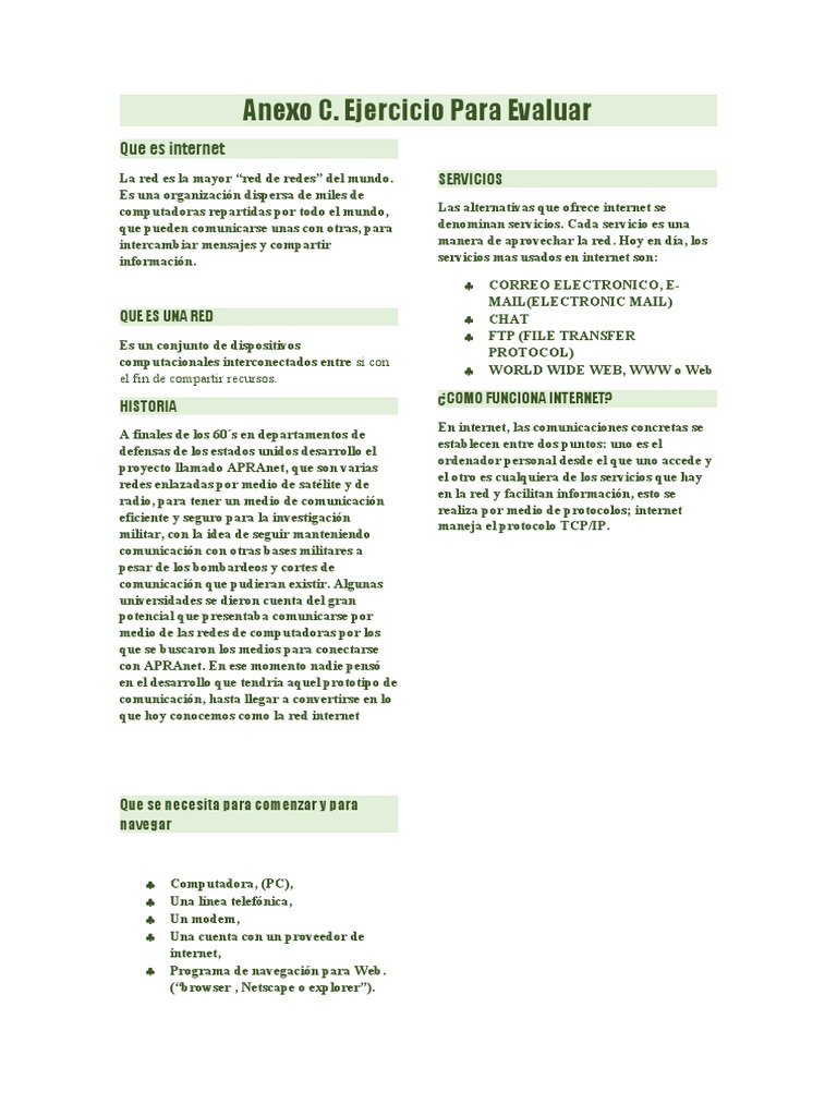 Anexo C. Ejercicio para Evaluar: Que Es Internet | PDF