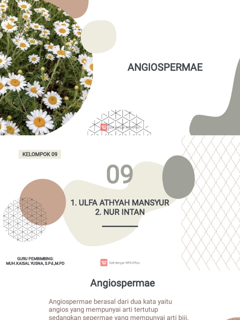 Ciri dan Siklus Hidup Angiospermae | PDF