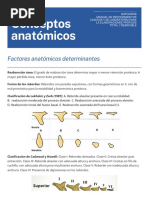 Curva de Spee y Wilson | PDF | Ortodoncia | Odontología